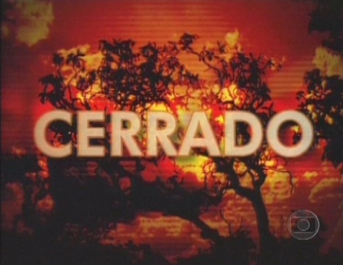 Cerrado | Series | memoriaglobo
